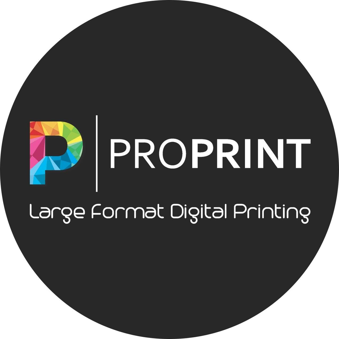 Pro Print Logo & Brand Assets (SVG, PNG and vector) - Brandfetch