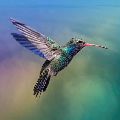 Ecojet Logo & Brand Assets (SVG, PNG and vector) - Brandfetch