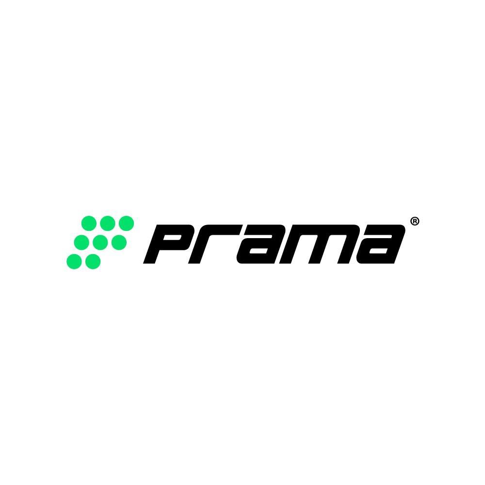 PRAMA Logo & Brand Assets (SVG, PNG and vector) - Brandfetch