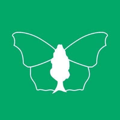 Butterfly Conservation 🦋 Logo & Brand Assets (SVG, PNG and vector ...