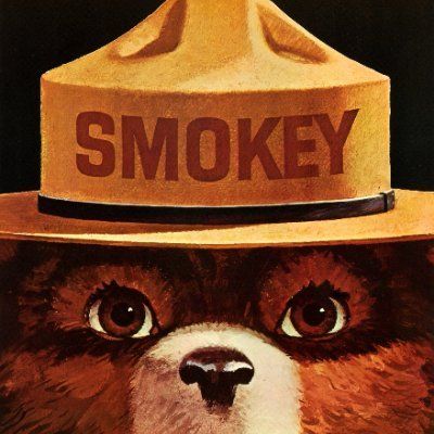 Smokey Bear Logo & Brand Assets (SVG, PNG and vector) - Brandfetch