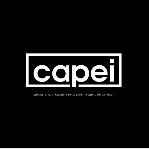 CAPEI -Consultoria y Asesoria Logo & Brand Assets (SVG, PNG and vector ...