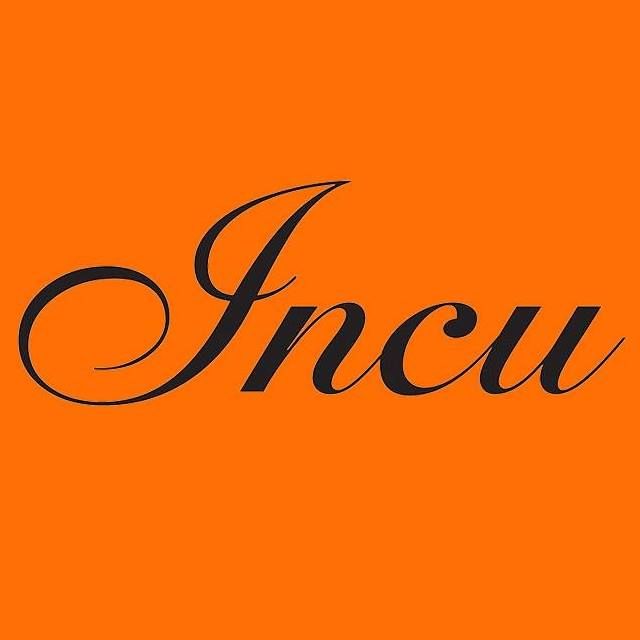 Incu Logo & Brand Assets (SVG, PNG and vector) - Brandfetch