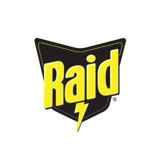 Raid Logo & Brand Assets (SVG, PNG and vector) - Brandfetch
