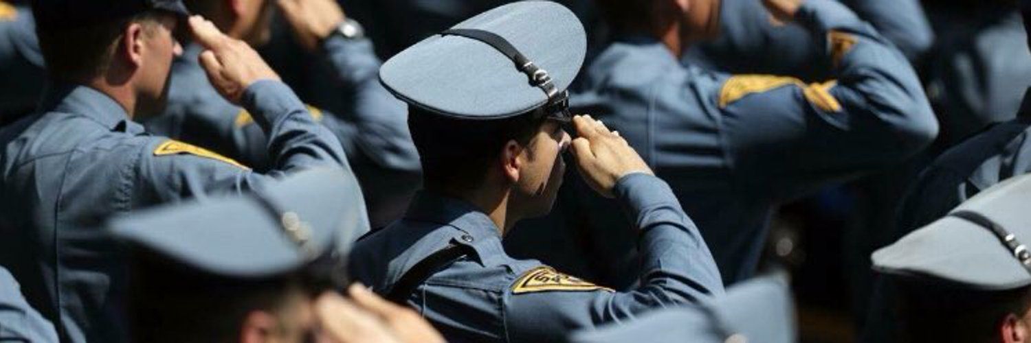 NJSP Logo & Brand Assets (SVG, PNG and vector) - Brandfetch