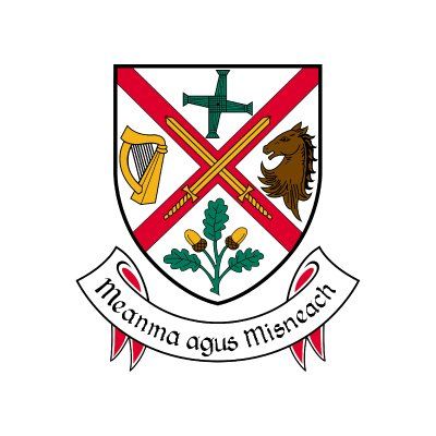 Kildare County Council Logo & Brand Assets (SVG, PNG and vector ...