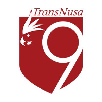 Transnusa Airlines Logo & Brand Assets (SVG, PNG and vector) - Brandfetch