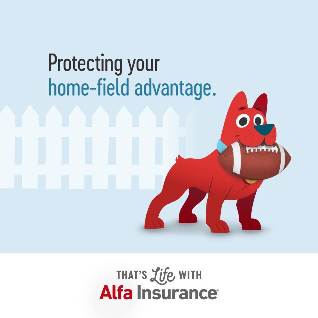 Alfa Insurance Logo & Brand Assets (SVG, PNG and vector) - Brandfetch