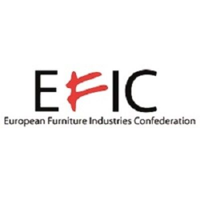 EFIC Logo & Brand Assets (SVG, PNG and vector) - Brandfetch