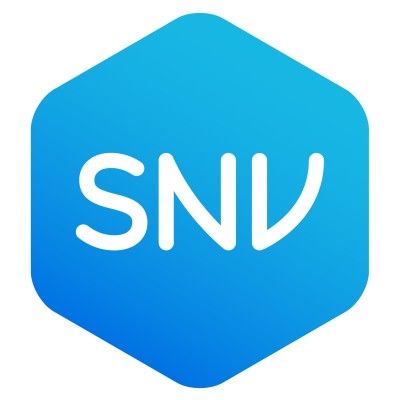 SNV Logo & Brand Assets (SVG, PNG and vector) - Brandfetch