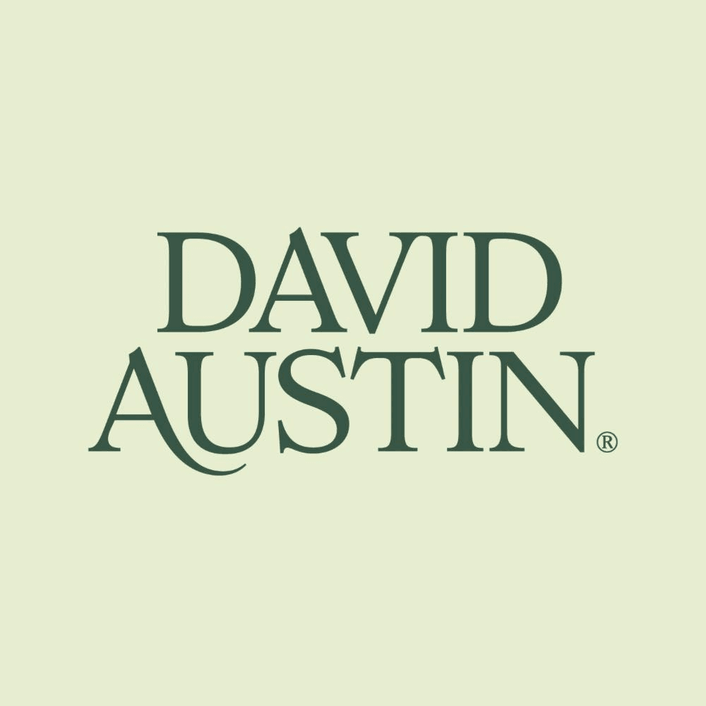 David Austin Roses Logo & Brand Assets (SVG, PNG and vector) - Brandfetch