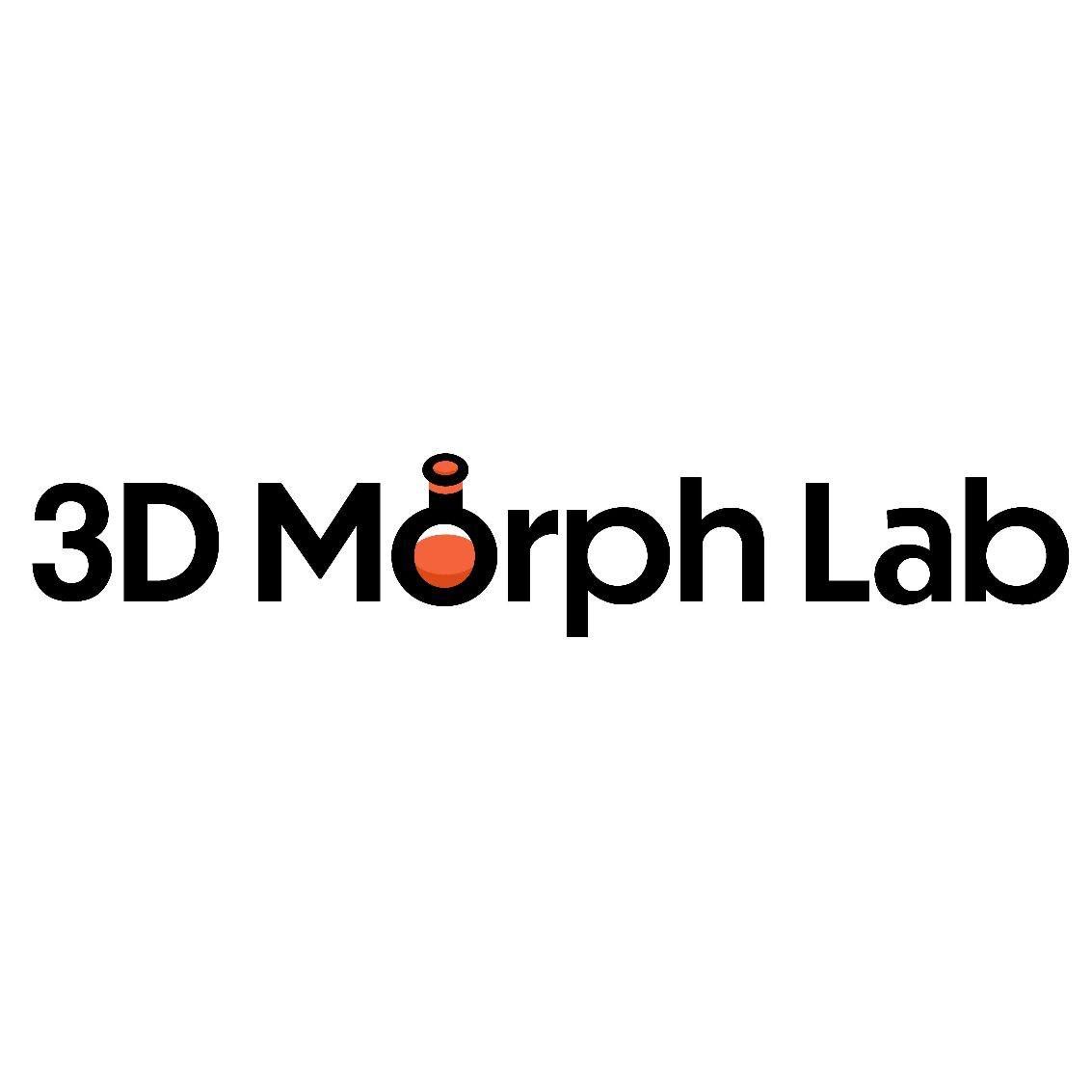 3d logo lab io