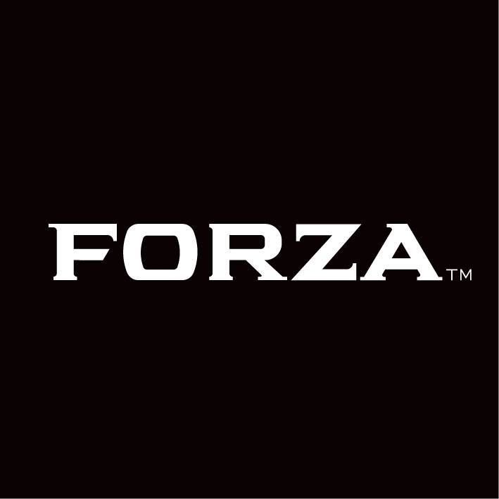 Forza Logo & Brand Assets (SVG, PNG and vector) - Brandfetch