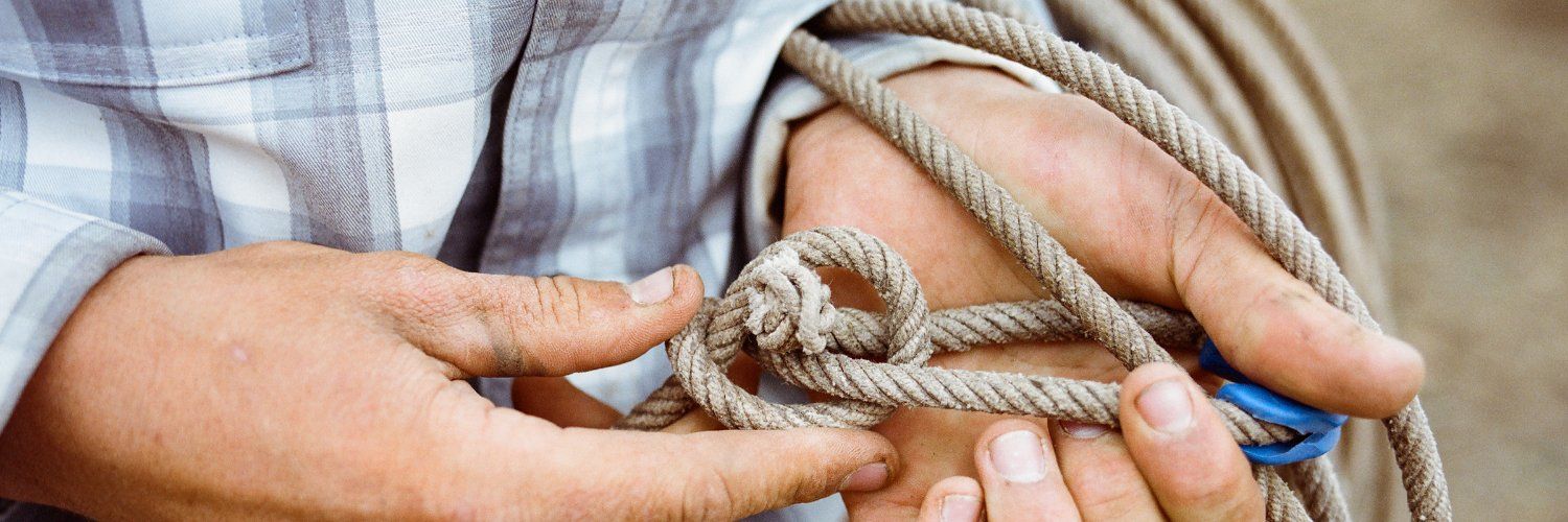 Dickies Logo & Brand Assets (SVG, PNG and vector) - Brandfetch