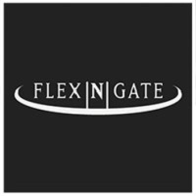 Flex-N-Gate Logo & Brand Assets (SVG, PNG and vector) - Brandfetch