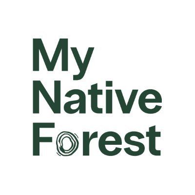 MyNativeForest Logo & Brand Assets (SVG, PNG and vector) - Brandfetch