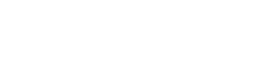 Fetching brand - Brandfetch