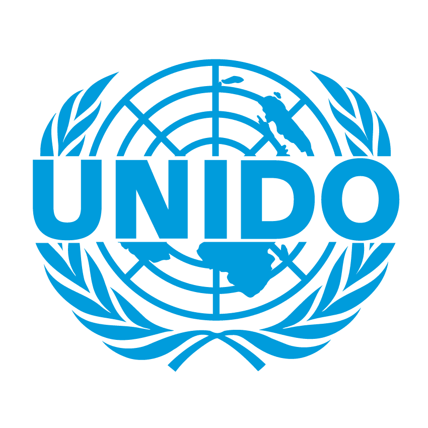 UNIDO Logo & Brand Assets (SVG, PNG and vector) - Brandfetch