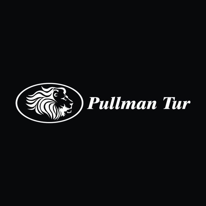 Buses Pullman Tur Logo & Brand Assets (SVG, PNG and vector) - Brandfetch