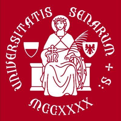 Università di Siena Logo & Brand Assets (SVG, PNG and vector) - Brandfetch