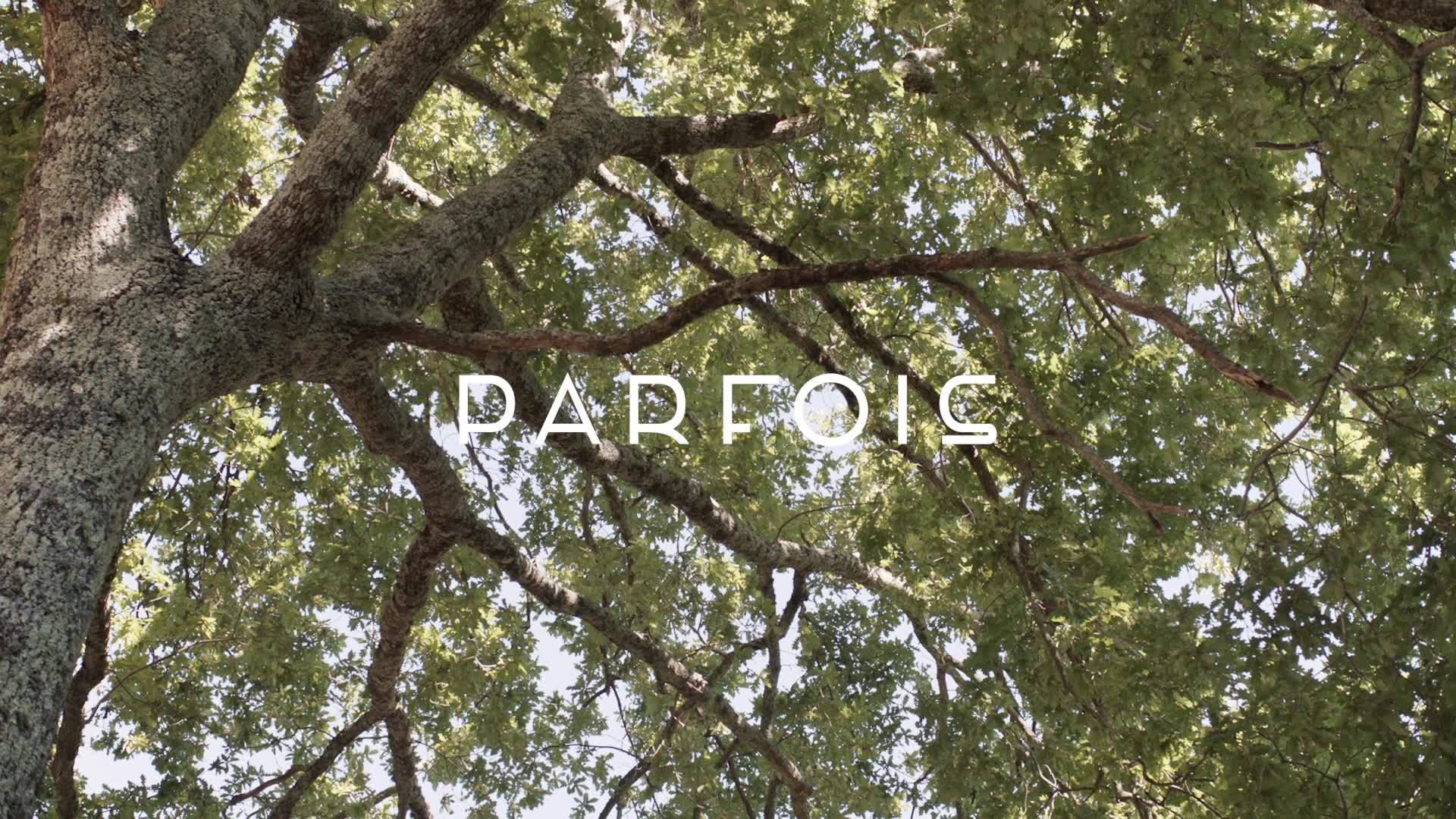 Parfois Logo & Brand Assets (SVG, PNG and vector) - Brandfetch