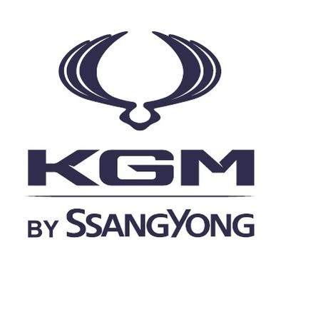 KGM POLSKA Logo & Brand Assets (SVG, PNG and vector) - Brandfetch