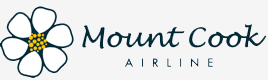 Air New Zealand Logo & Brand Assets (SVG, PNG and vector) - Brandfetch