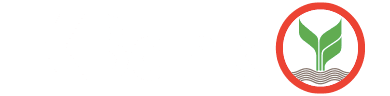 KASIKORN KBank's logos