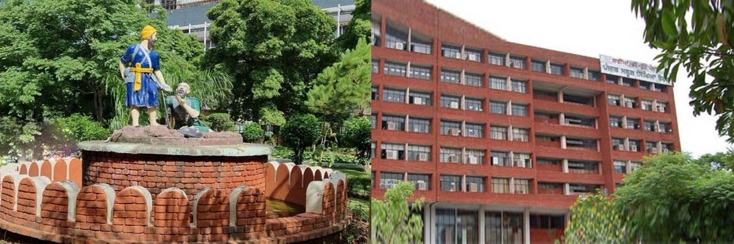 Pseb Official Logo & Brand Assets (SVG, PNG and vector) - Brandfetch