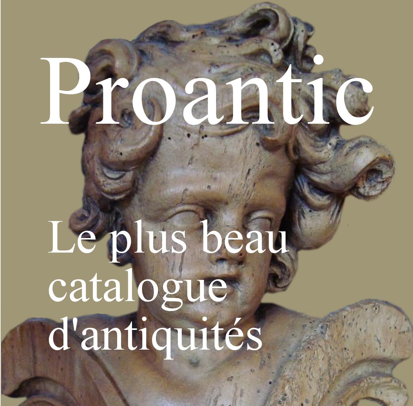 Proantic Logo & Brand Assets (SVG, PNG and vector) - Brandfetch