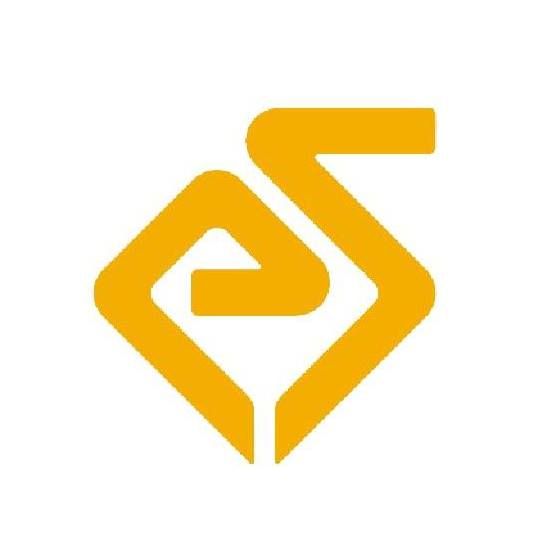 Excelsoft Technologies Pvt Ltd Logo & Brand Assets (SVG, PNG and vector ...