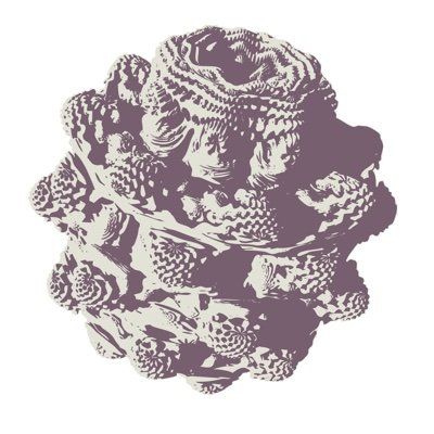 The Mandelbulb Logo & Brand Assets (SVG, PNG and vector) - Brandfetch