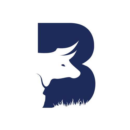 Botswana Insurance Company Logo & Brand Assets (SVG, PNG and vector ...