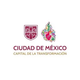 IEMS CDMX Logo & Brand Assets (SVG, PNG and vector) - Brandfetch