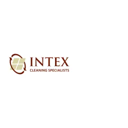 intex logos