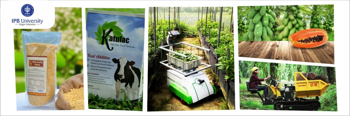 IPB Logo & Brand Assets (SVG, PNG and vector) - Brandfetch