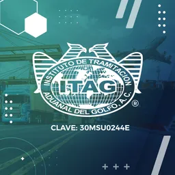 ITAG Logo & Brand Assets (SVG, PNG and vector) - Brandfetch