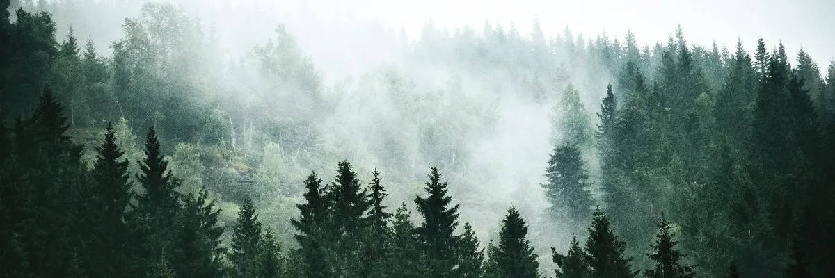 Kahf Logo & Brand Assets (SVG, PNG and vector) - Brandfetch