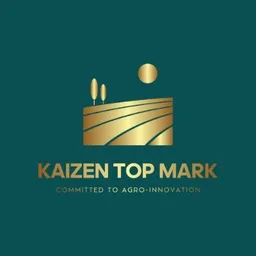 Kaizen Top Mark Logo & Brand Assets (SVG, PNG and vector) - Brandfetch