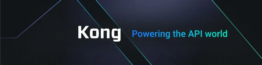 Kong Logo & Brand Assets (SVG, PNG and vector) - Brandfetch