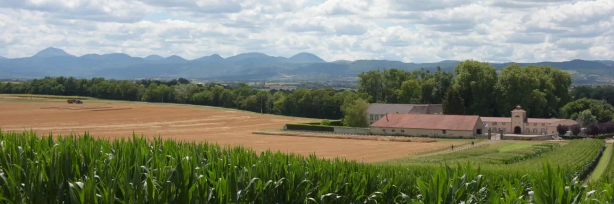 Limagrain Logo & Brand Assets (SVG, PNG and vector) - Brandfetch