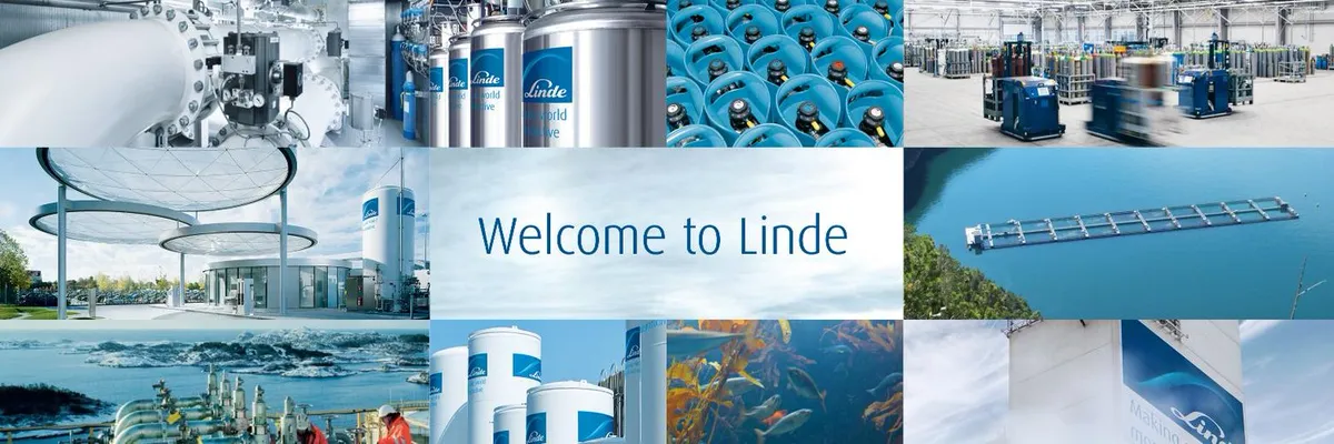 Linde Logo & Brand Assets (SVG, PNG and vector) - Brandfetch