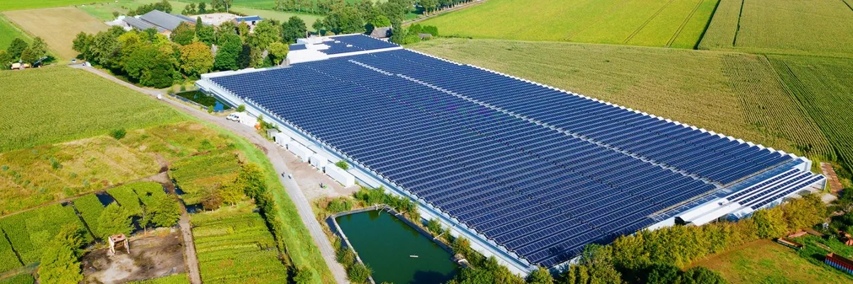 LONGi Logo & Brand Assets (SVG, PNG and vector) - Brandfetch