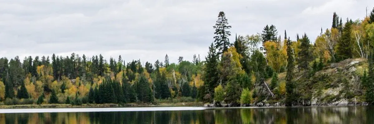 Manitoba Government Logo & Brand Assets (SVG, PNG and vector) - Brandfetch