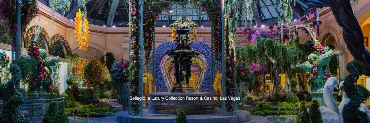 Marriott Bonvoy Logo & Brand Assets (SVG, PNG and vector) - Brandfetch