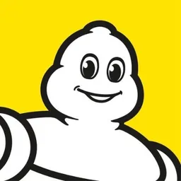 Michelin Logo & Brand Assets (SVG, PNG and vector) - Brandfetch
