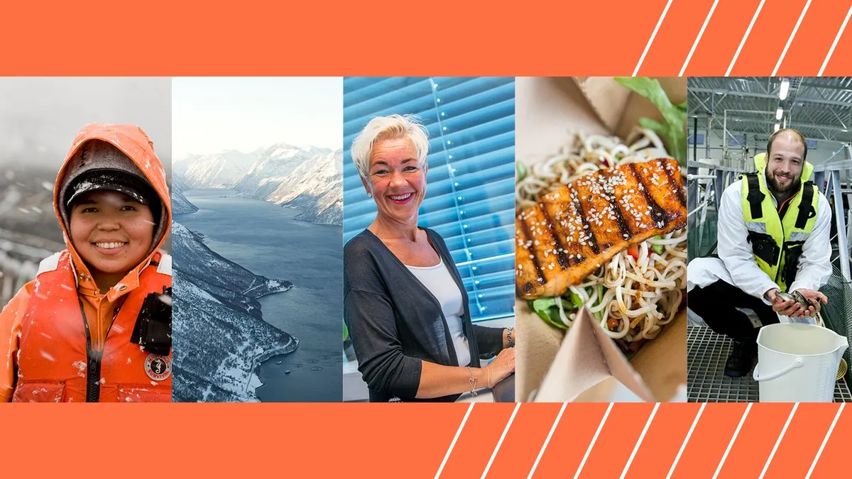 Mowi Logo & Brand Assets (SVG, PNG and vector) - Brandfetch