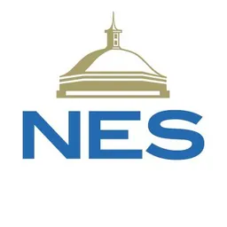 nes logo icon
