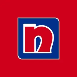 Nippon Paint Logo & Brand Assets (SVG, PNG and vector) - Brandfetch