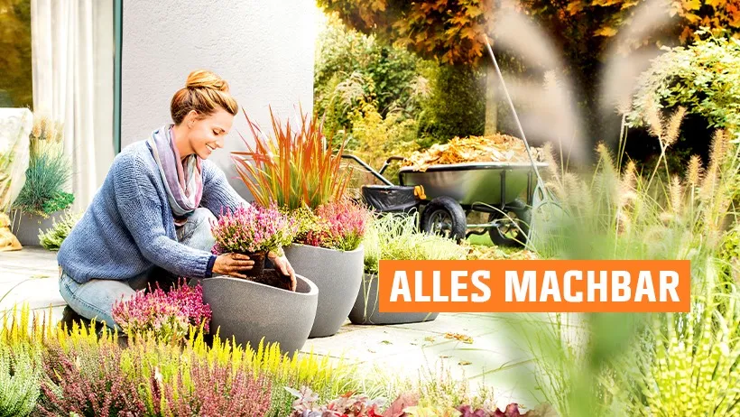 OBI Logo & Brand Assets (SVG, PNG and vector) - Brandfetch